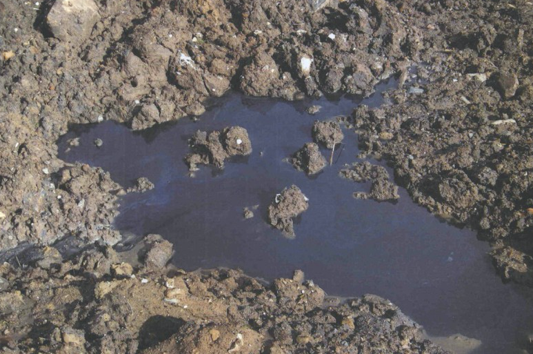 SEPA-Led Waste Crime Fines Total £120,000 In 12 Months