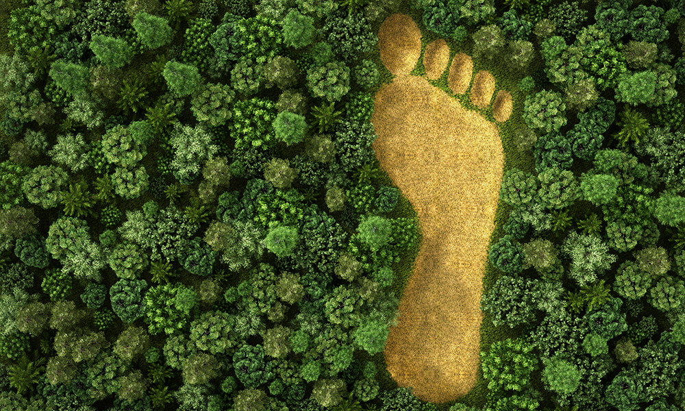 Global Resource Initiative taskforce: greening the UK’s environmental ...