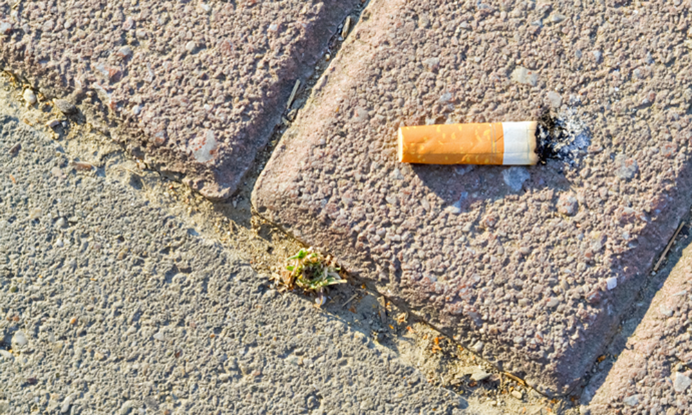 Government to explore making tobacco industry responsible for smoking ...