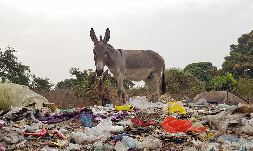 Chartered Institution of Wastes Management and WasteAid launch ...