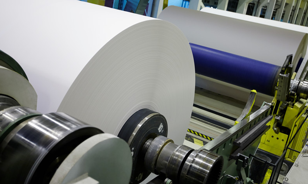 Cartonboard: leading player in the circular economy