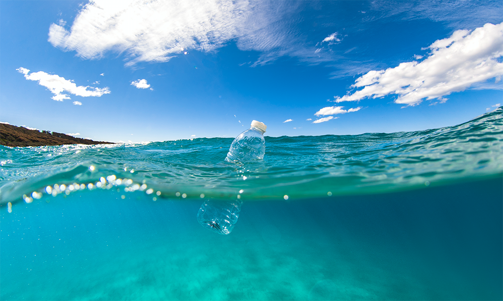 Lidl GB updates packaging to prevent ocean plastic