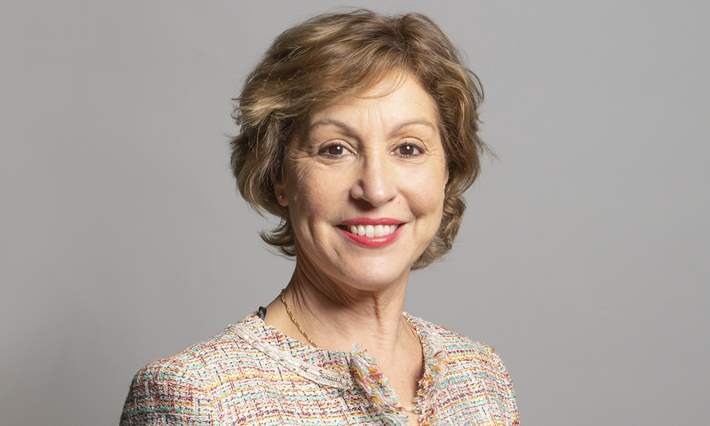 Pow addresses MPs' questions over EPR and DRS