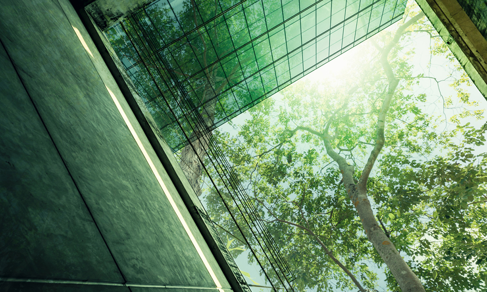 Shell's misleading green ads: A lesson in transparent communication