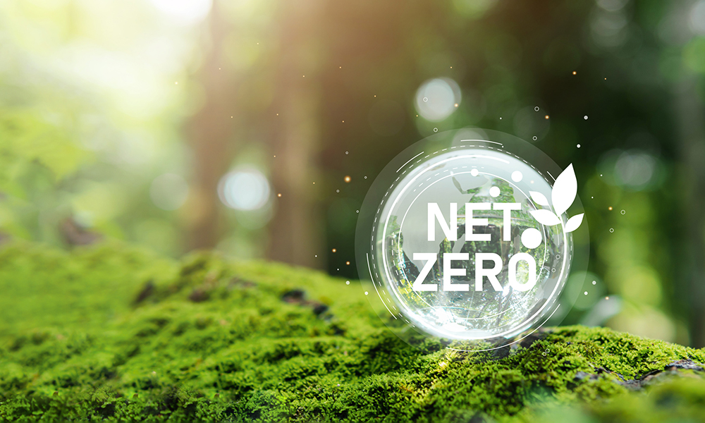 The business of net zero: Five innovative revenue models