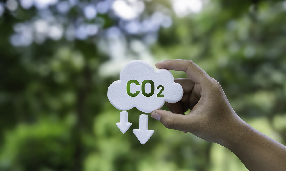 Carbon awareness: Does your team speak carbon?